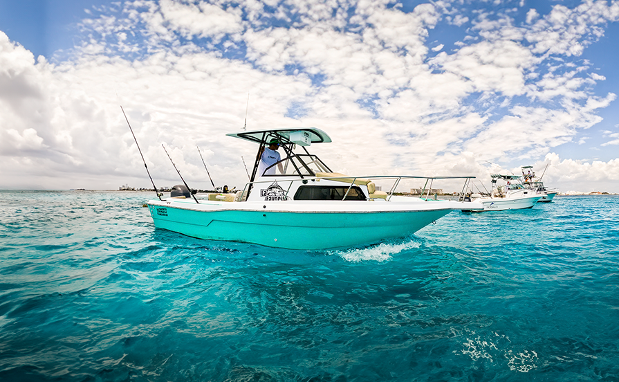 Top 10 Sport Fishing Spots in Cancun: Marlin, Tuna, and More